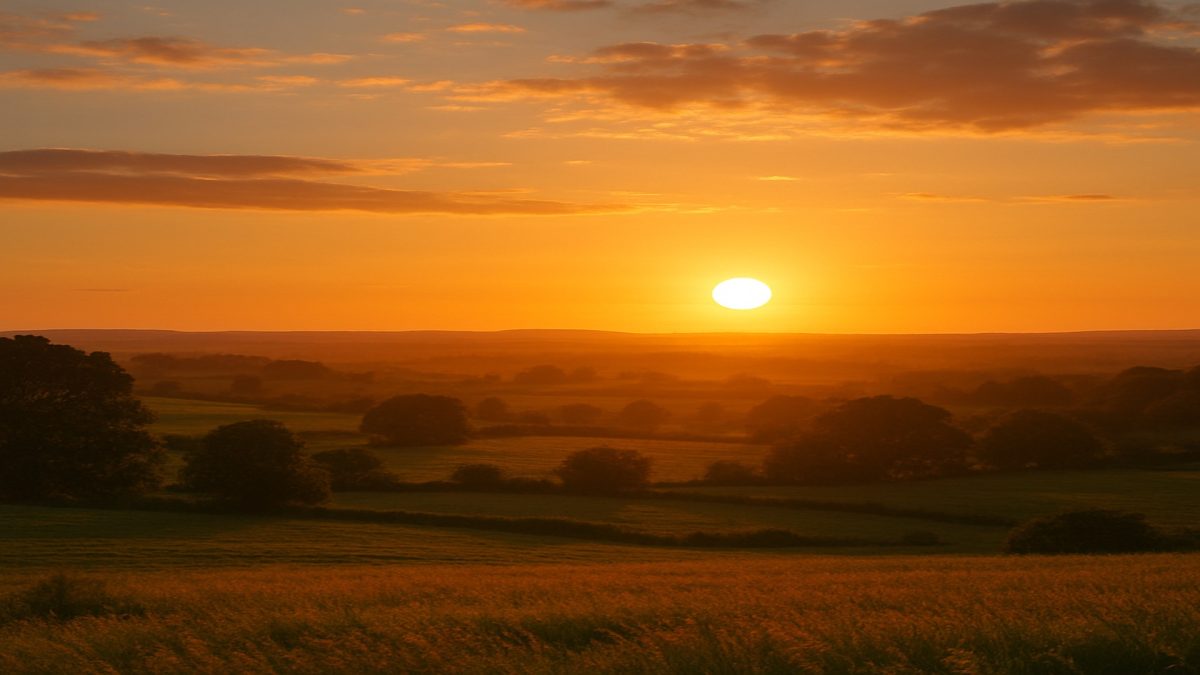 Understanding The Benefits Of UV Light On Health